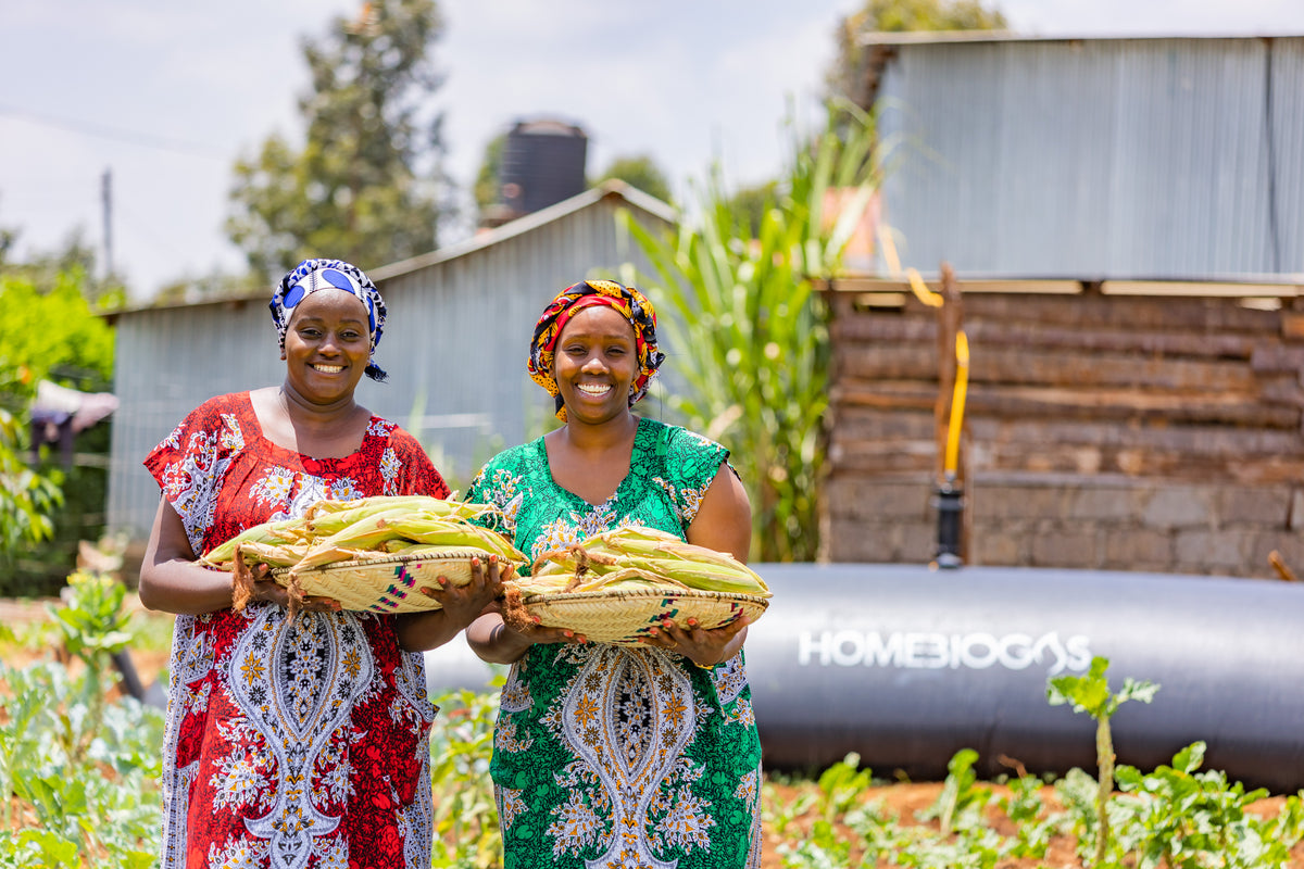 HomeBiogas Programme in Kenya – Gold Standard Marketplace